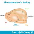 What Part Of The Turkey Is The Breast? – THEKITCHENTODAY