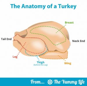 What Part Of The Turkey Is The Breast? – THEKITCHENTODAY